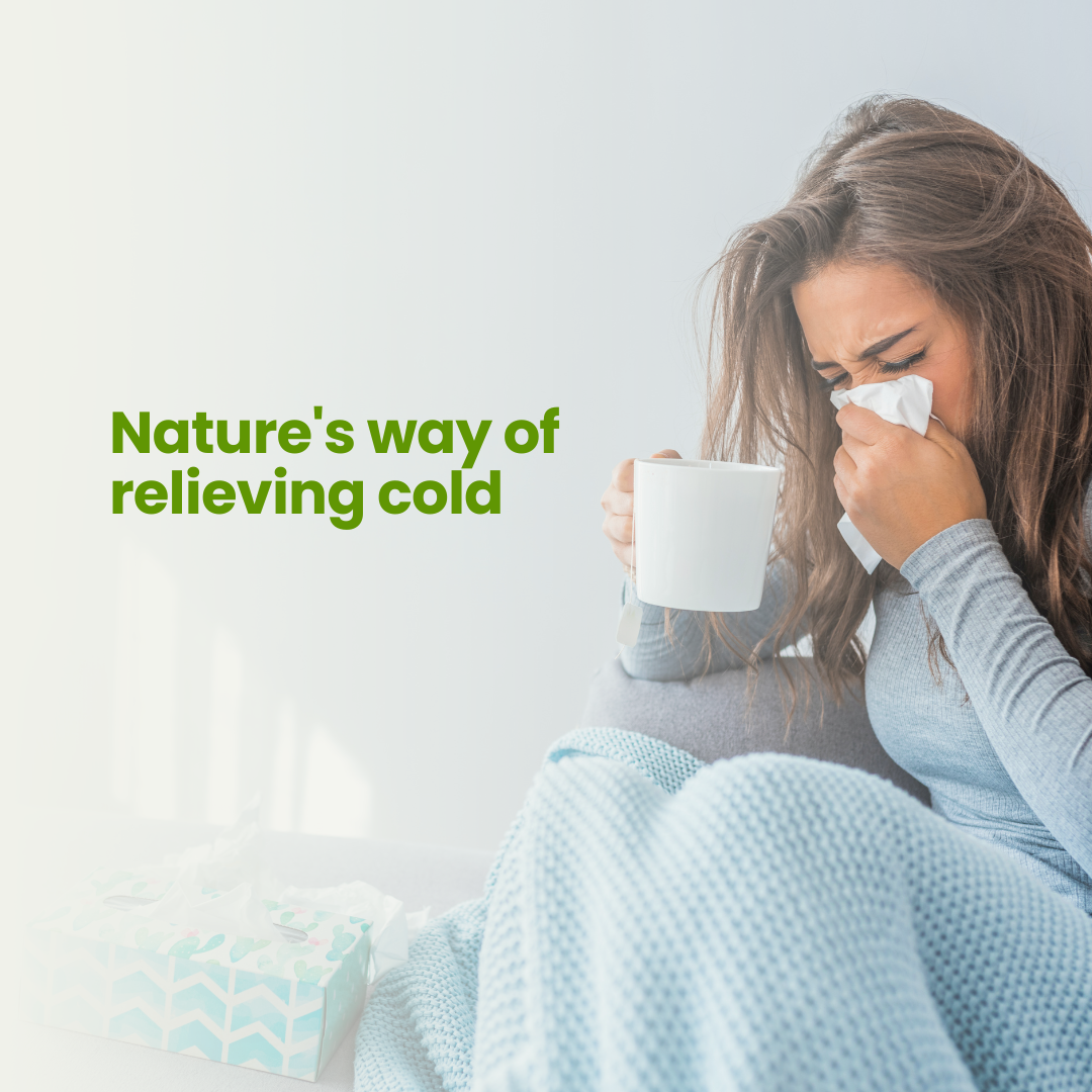 Buy Ginger Tulsi Tea Online - Buy 2 Get 1 Free – Jindal Naturecare Limited